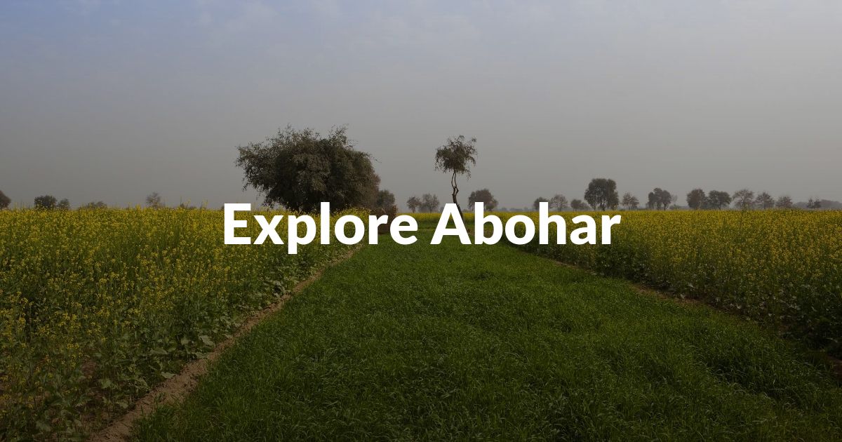Explore Abohar, Punjab, India - Things To Do, Best time to Visit, How ...