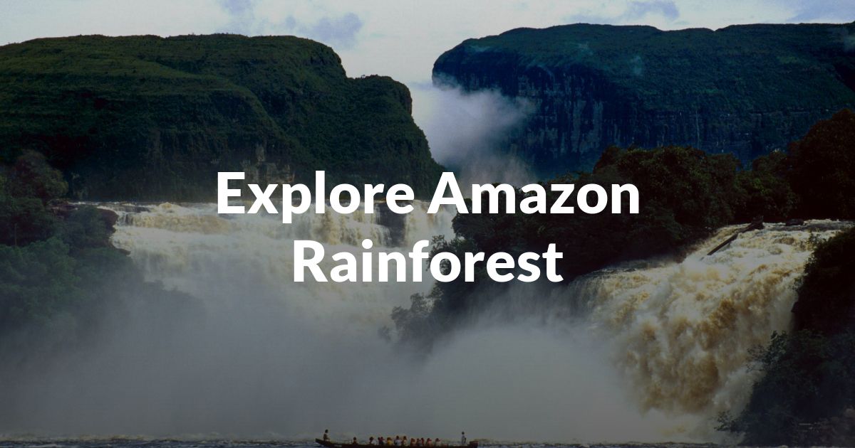 PLAN by ixigo: Amazon Rainforest, Brazil