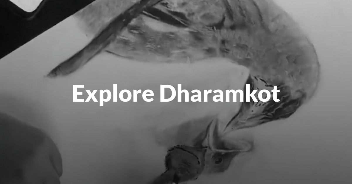 Explore Dharamkot, Himachal Pradesh, India - Things To Do, Best time to ...