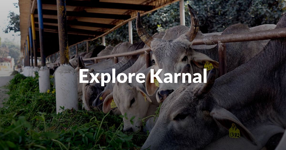 Explore Karnal, Haryana, India - Things To Do, Best time to Visit, How ...