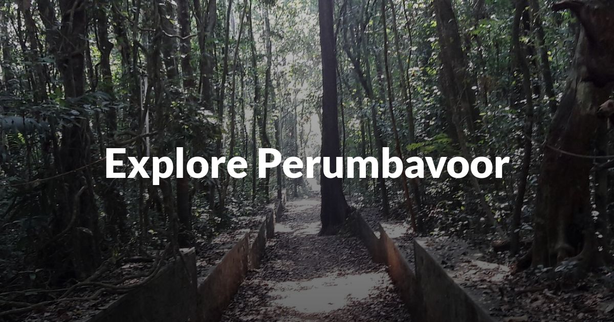 Explore Perumbavoor, Kerala, India - Things To Do, Best time to Visit ...