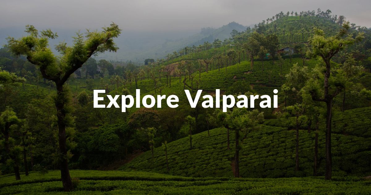 Explore Valparai, Tamil Nadu, India - Things To Do, Best time to Visit ...